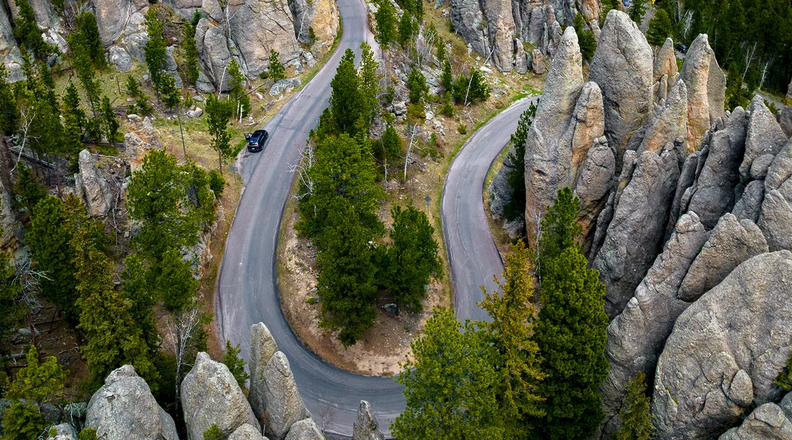 Needles Highway is known for its diverse wildlife, including deer ...